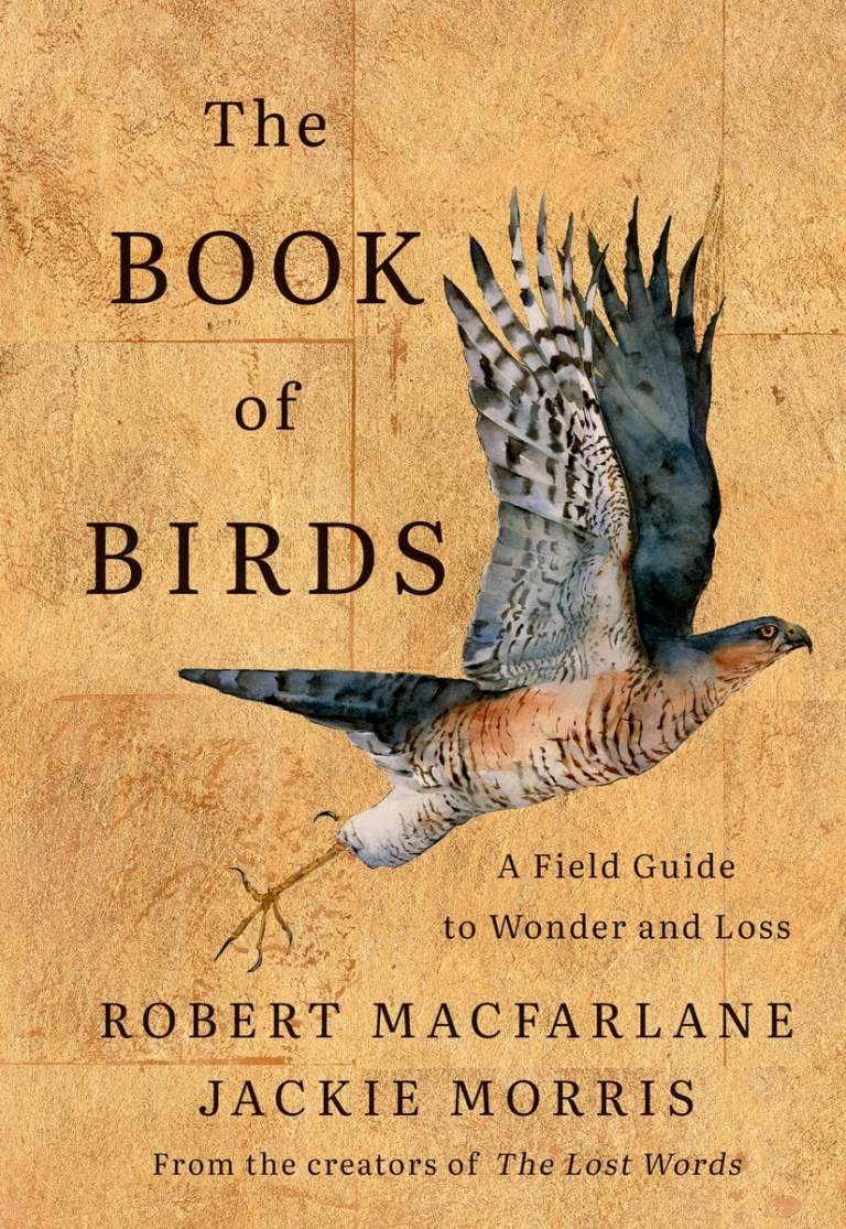 New Book Releases: June 9, 2026 – Welcome To Your Friendly Bookshelf